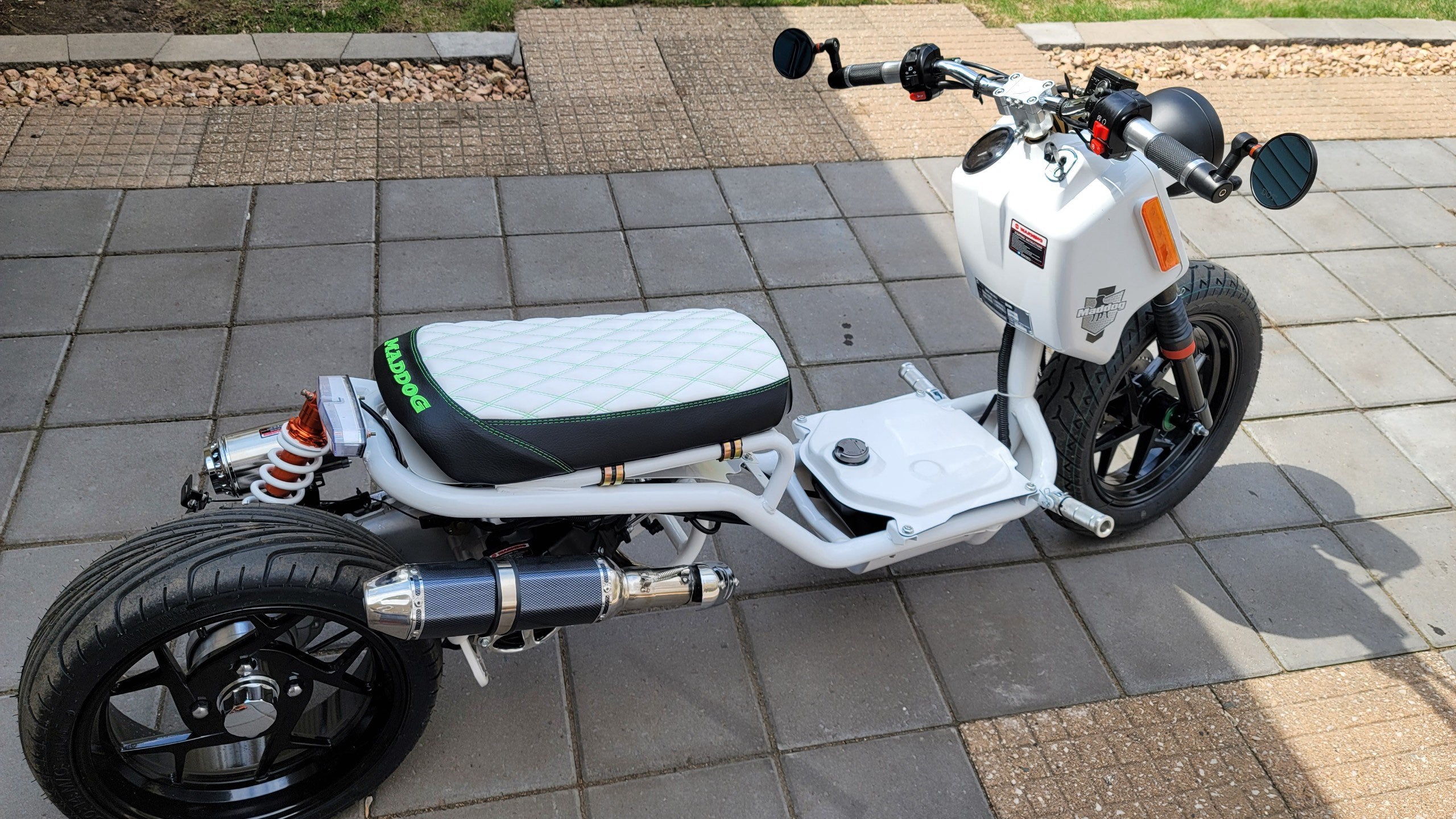 Ice Bear Mad Dog Stretch